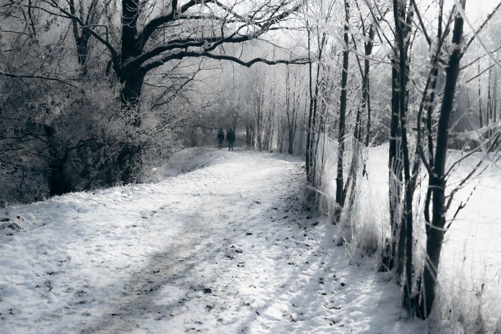 Winterwunderland Foto & Bild | fotos, winter, himmel Bilder auf fotocommunity