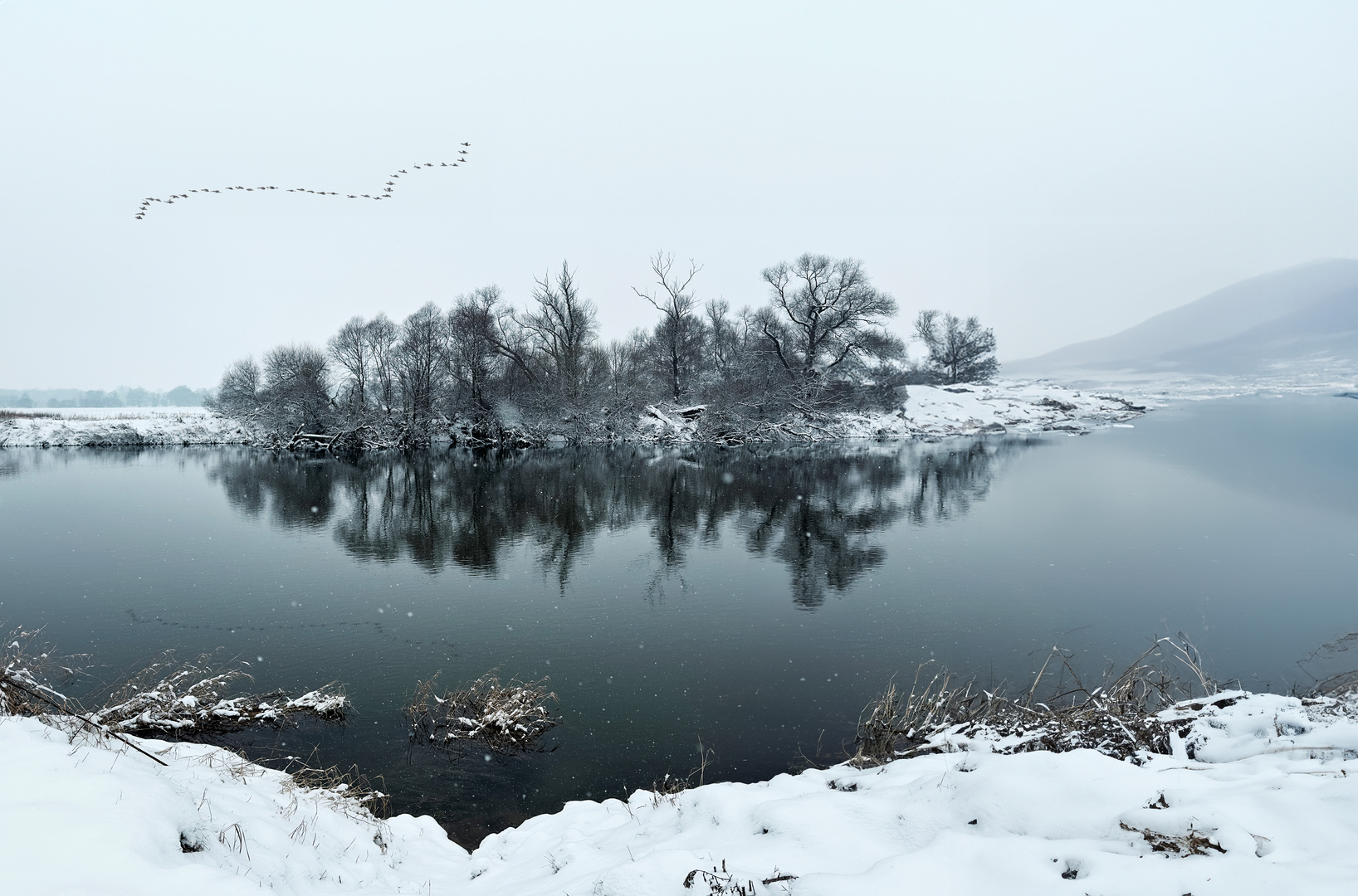 Winterwunderland Foto & Bild | ki - montagen, ki Bilder auf fotocommunity