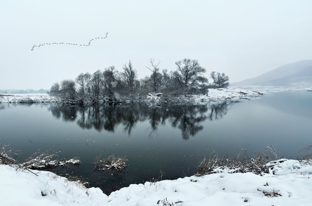 Winterwunderland Foto & Bild | ki - montagen, ki Bilder auf fotocommunity