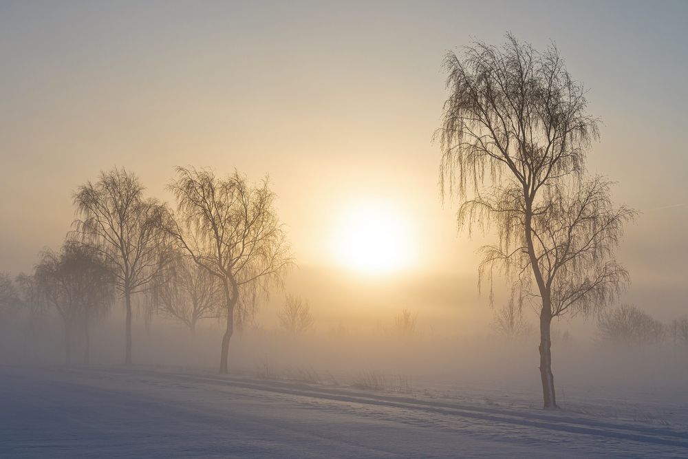 Winterwunderland - Morgensonne und die Stille im Nebel Foto & Bild | jahreszeiten, winter ...