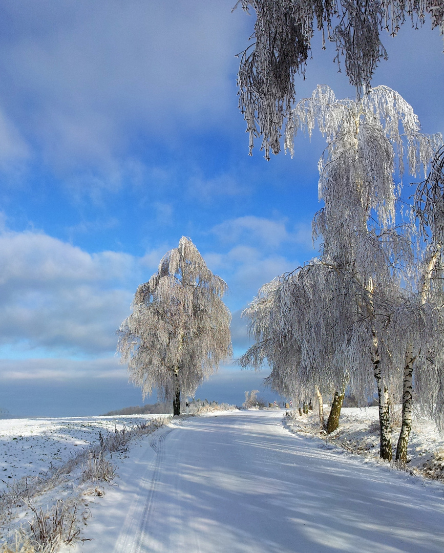Winterwunderland Oberlausitz Foto & Bild | jahreszeiten, winter, landidylle Bilder auf fotocommunity