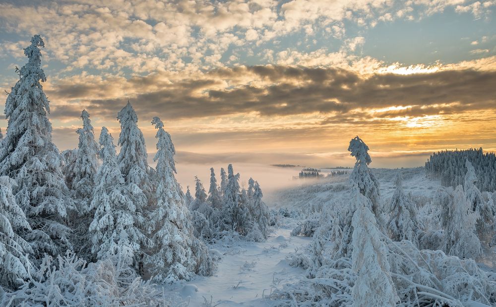 Winterzauber Foto & Bild | landschaft, jahreszeiten, winter Bilder auf fotocommunity