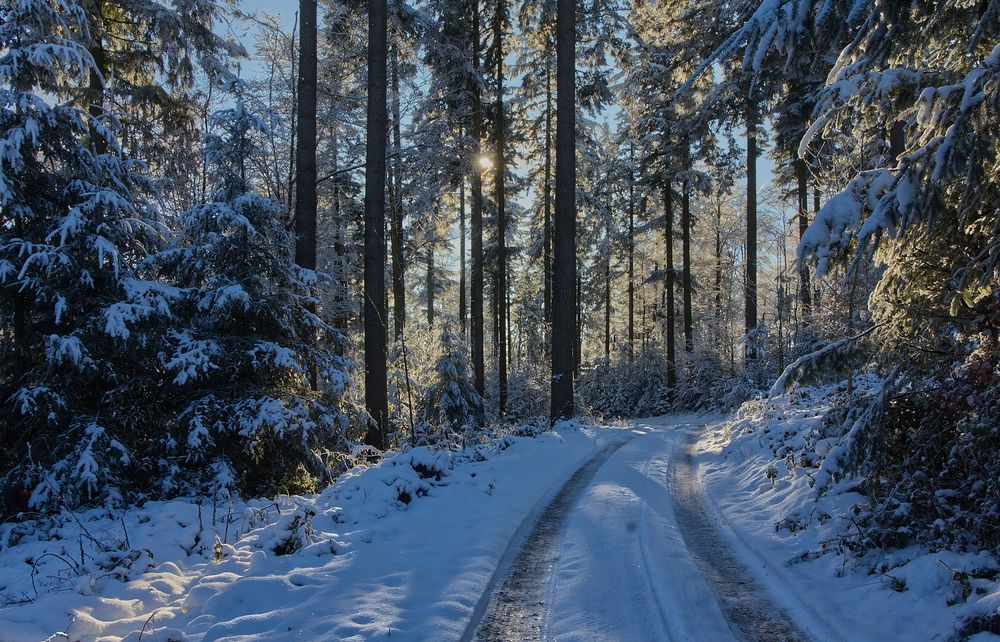 Winterzauber Foto & Bild | world, wald, winter Bilder auf fotocommunity