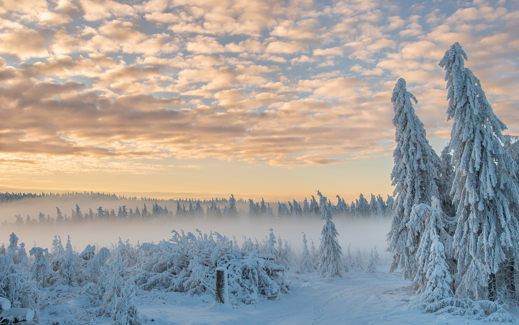 Winterzauber Foto & Bild | landschaft, jahreszeiten, winter Bilder auf fotocommunity