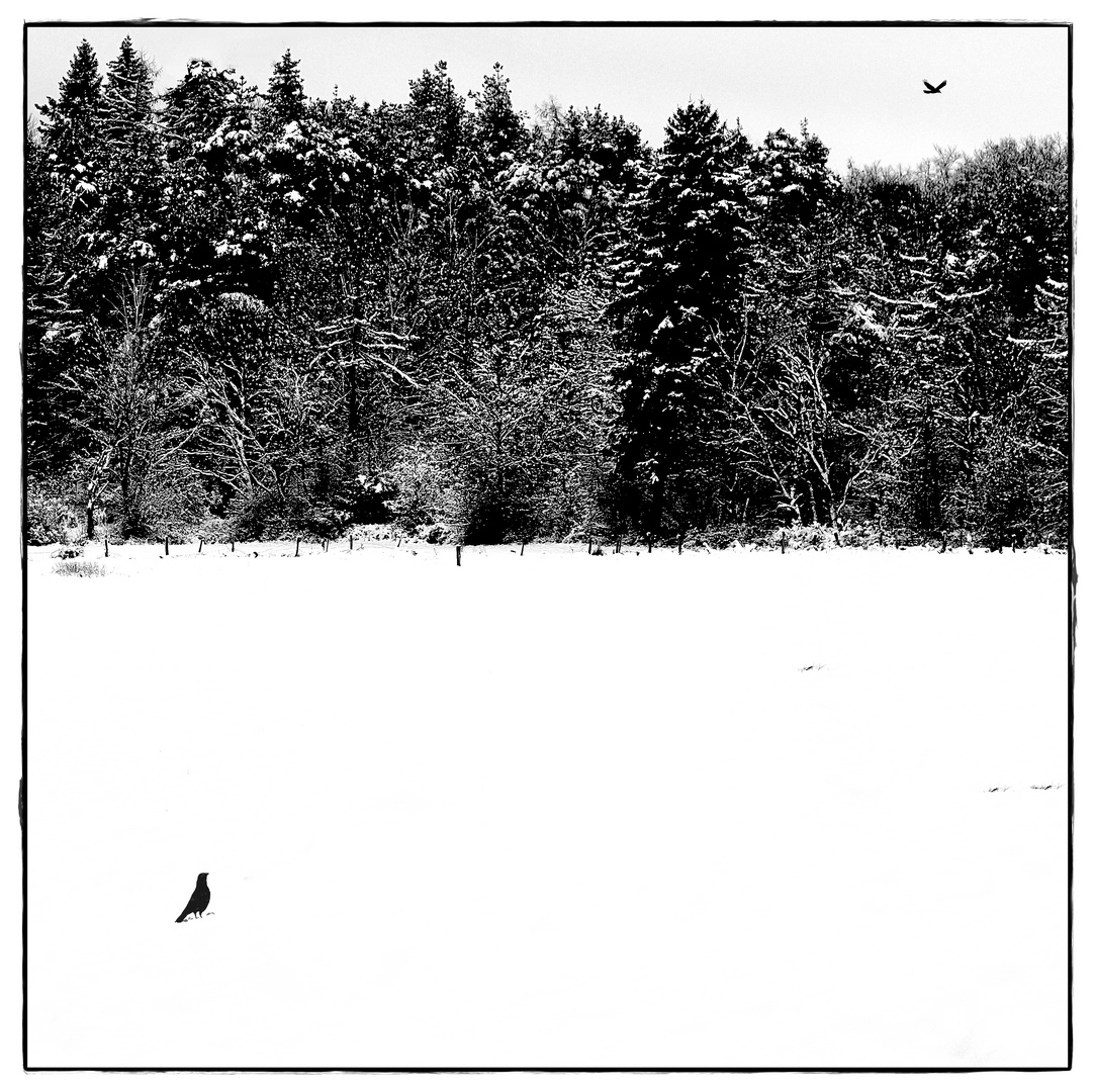 Wintry wind Foto & Bild | spezial, winter, natur Bilder auf fotocommunity