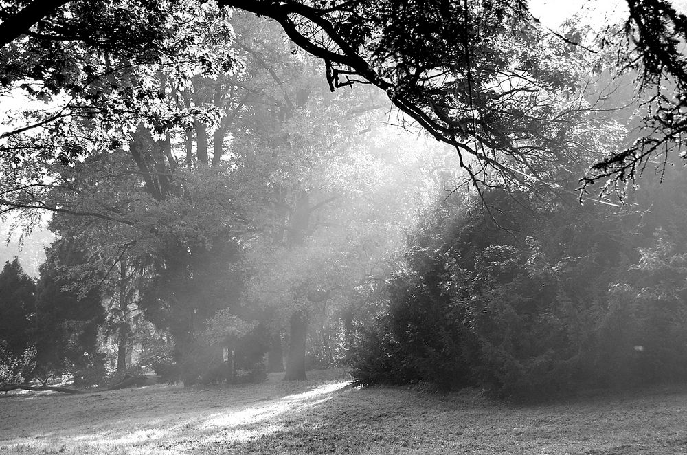 wir gehen durch den Park Foto & Bild | park, sonne, natur Bilder auf ...