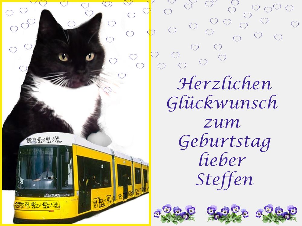 Wir gratulieren Foto & Bild | gratulation und feiertage, geburtstag ...