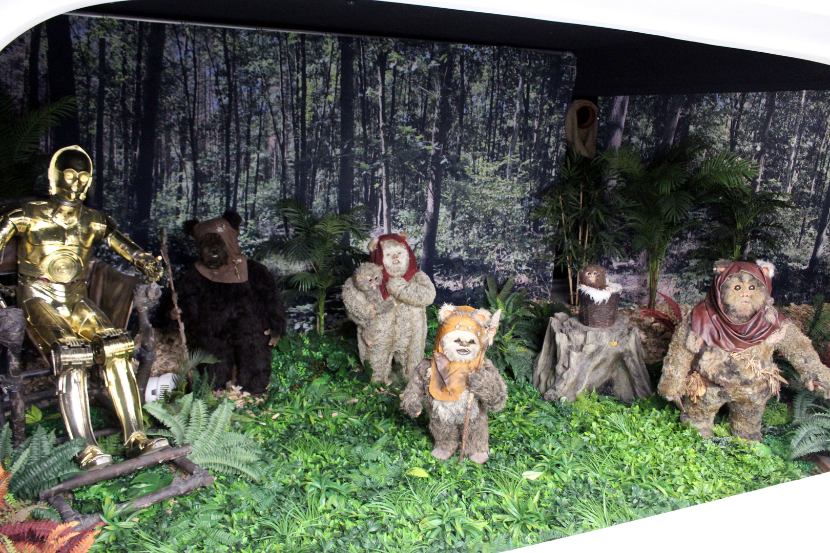 wir sind auf dem EWOK-PLANETEN gelandet Foto & Bild | reportage ...