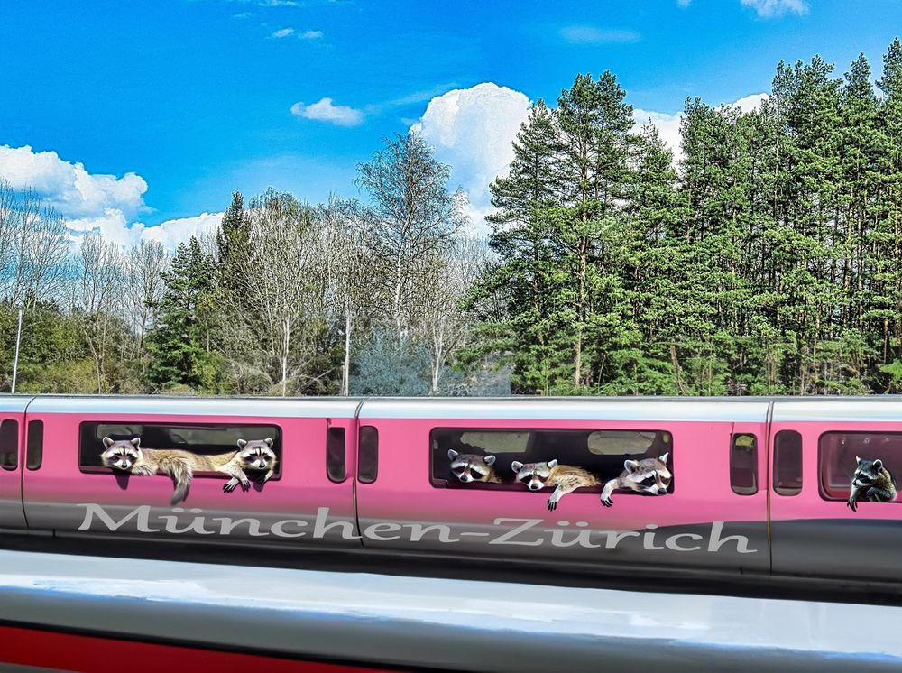 "Wir sind hier auf der Fahrt in die Schweiz. Foto & Bild | ki - montagen, composings, spezial ...