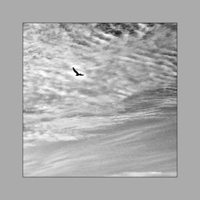 Peter Lohse 1954 -† 2012 Bilder & Fotos