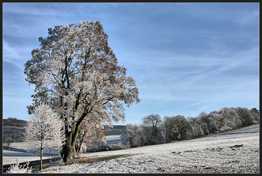 Wird es noch einmal so kalt? Foto & Bild | jahreszeiten, winter ...