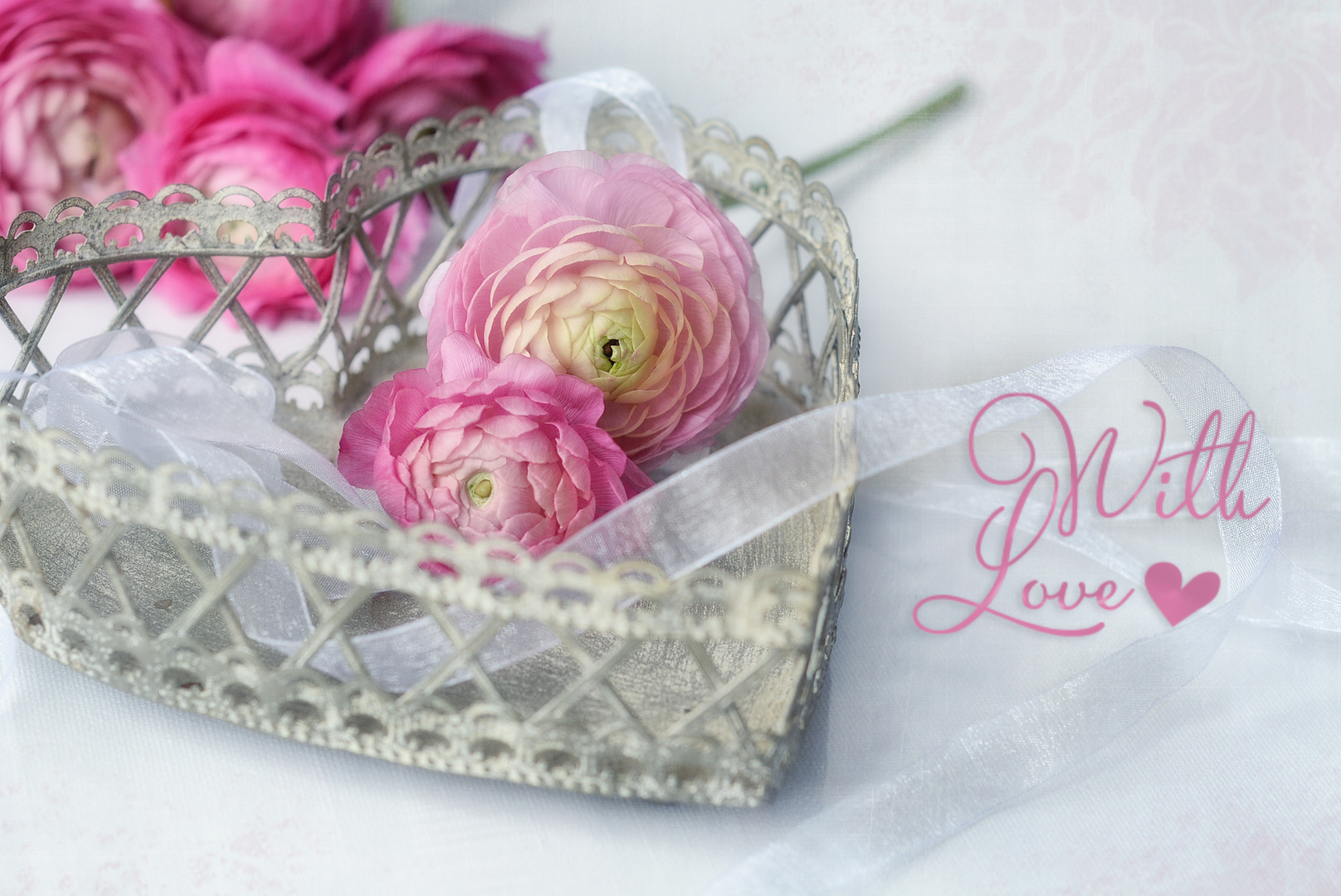 with love Foto & Bild | blume, herz, karte Bilder auf fotocommunity