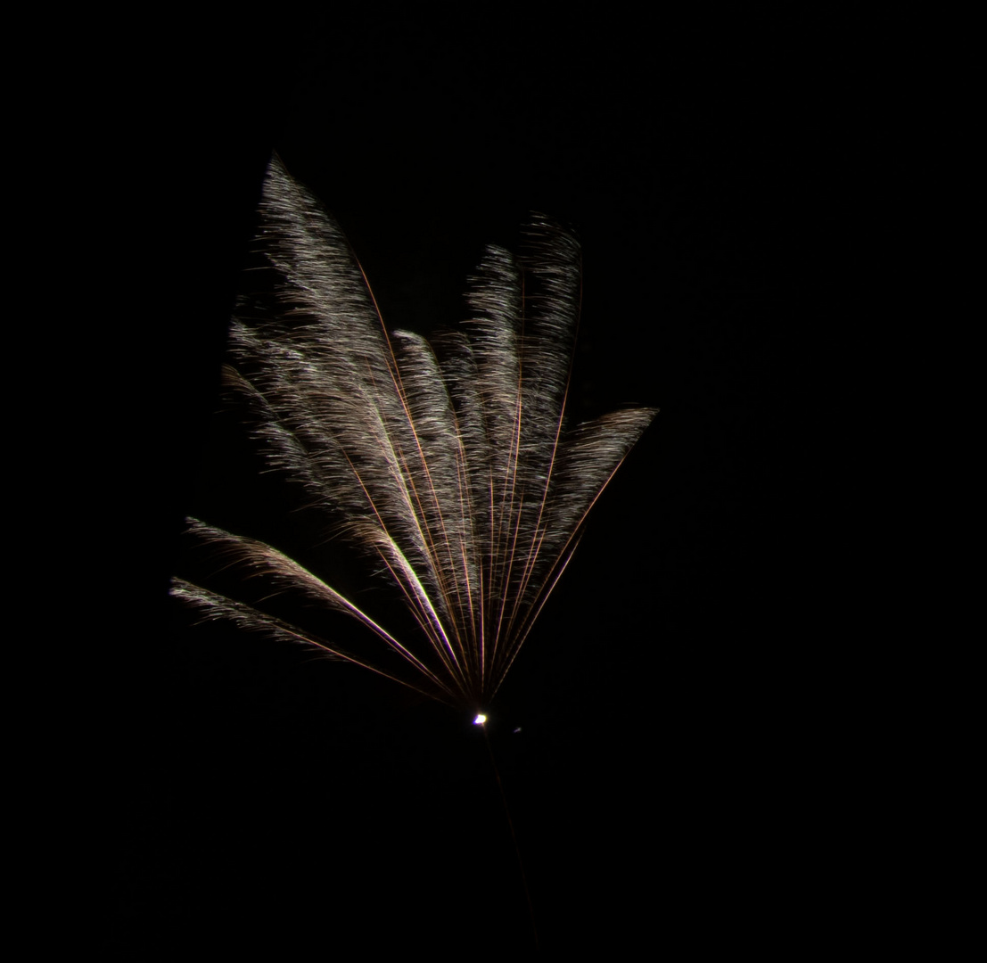 wk3 Foto & Bild | kunstfotografie & kultur, feuerwerk, fotos Bilder auf ...