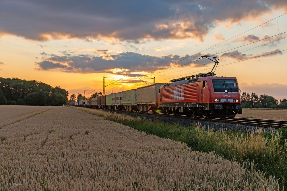 WLE 81 am "Hamburger" Foto & Bild | landschaft, eisenbahn, güterzug ...