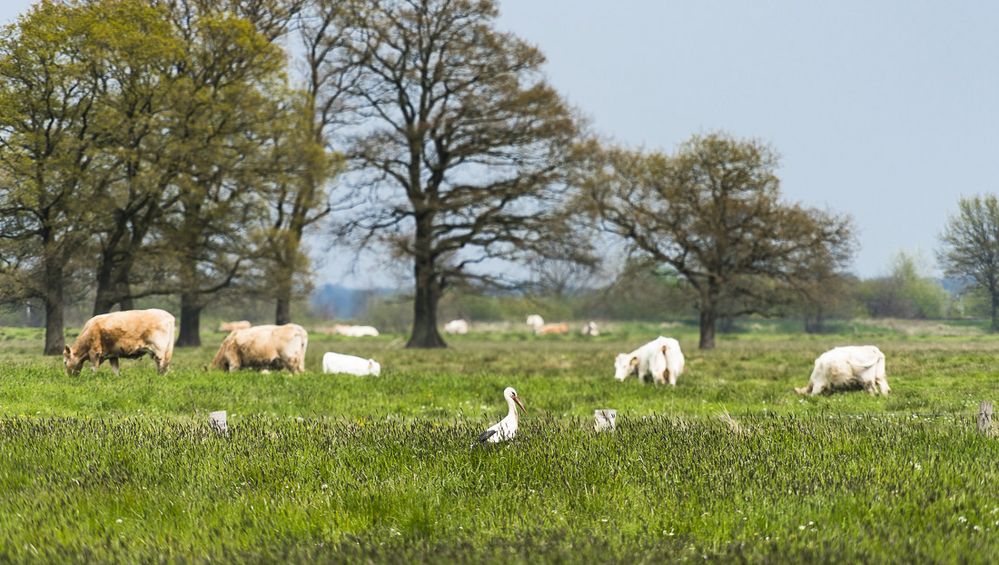 wo die Welt noch in Ordnung ist Foto & Bild | landschaft, Äcker, felder ...