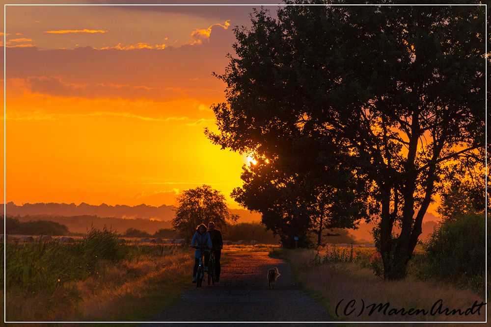 Wochenend und Sonnenschein Foto & Bild | world, sonnenuntergang ...