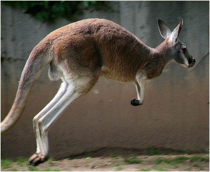 Wochenende in Sicht... Foto & Bild | emotionen, freude, spezial Bilder ...