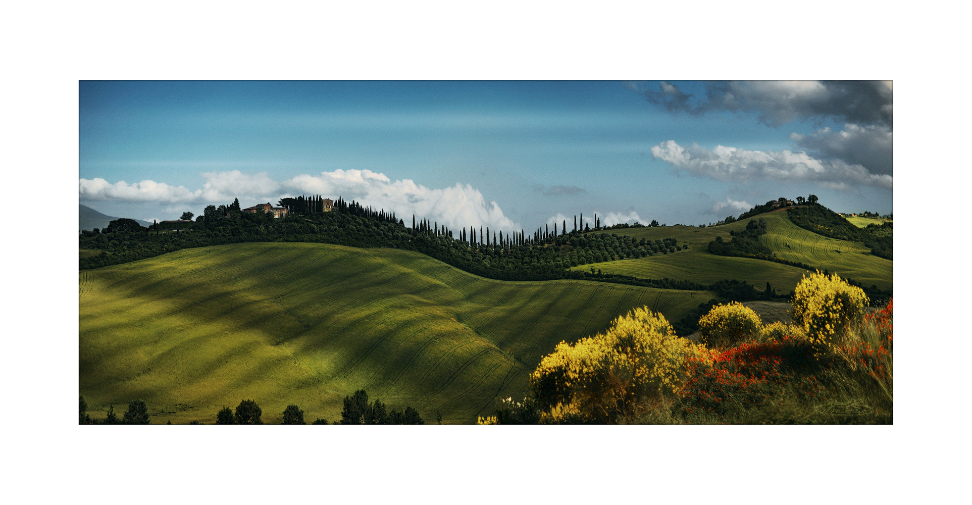 * Wogen * Foto & Bild | world, sommer, grün Bilder auf fotocommunity