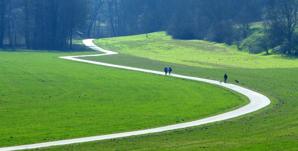 Wohin des Wegs? Foto & Bild | landschaft, wege und pfade, bäume Bilder ...