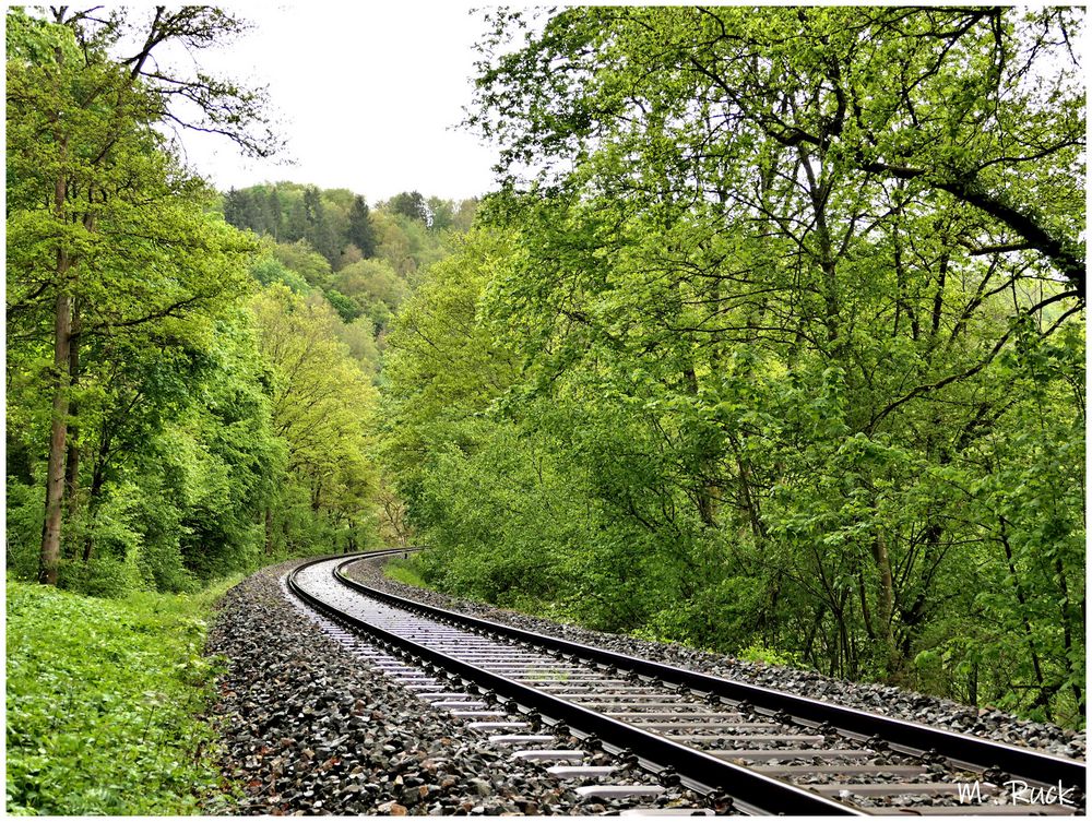 Wohin die Schienen einen wohl führen ? Foto & Bild | landschaft, sommer ...
