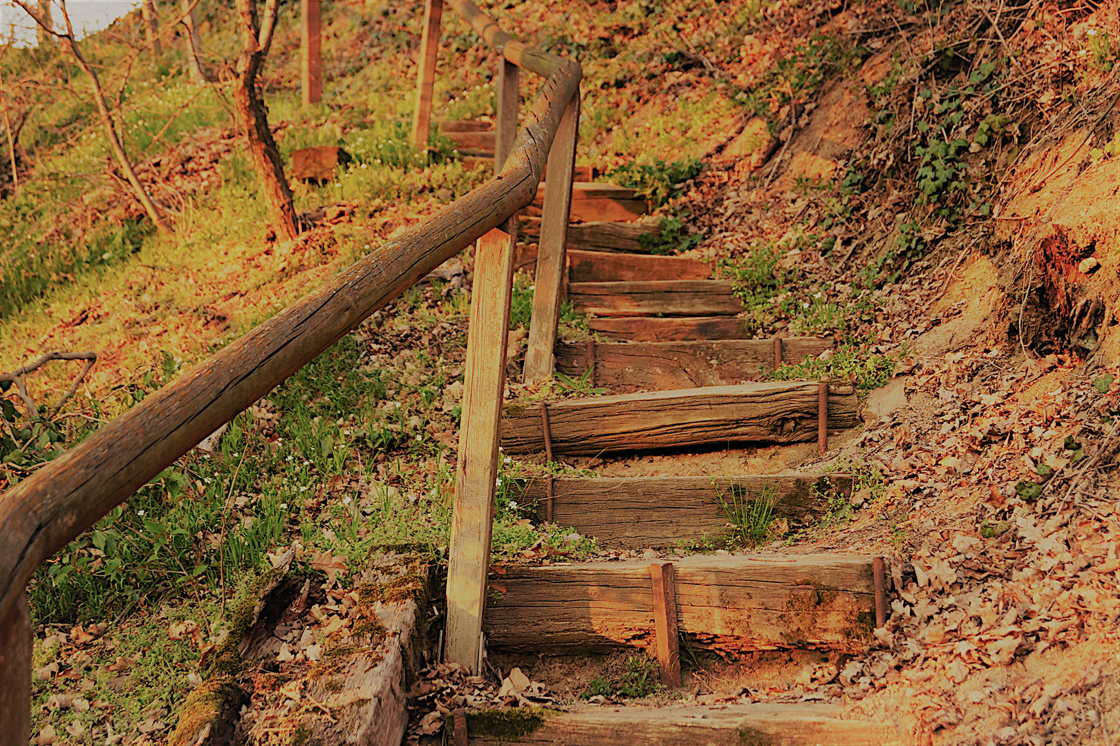 Wohin führen Wege.. Foto & Bild | landschaft, wege und pfade, natur ...