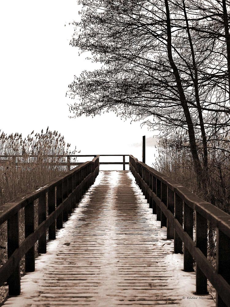 Wohin führt der Weg ? Foto & Bild | emotionen, sehnsucht , stimmungen ...