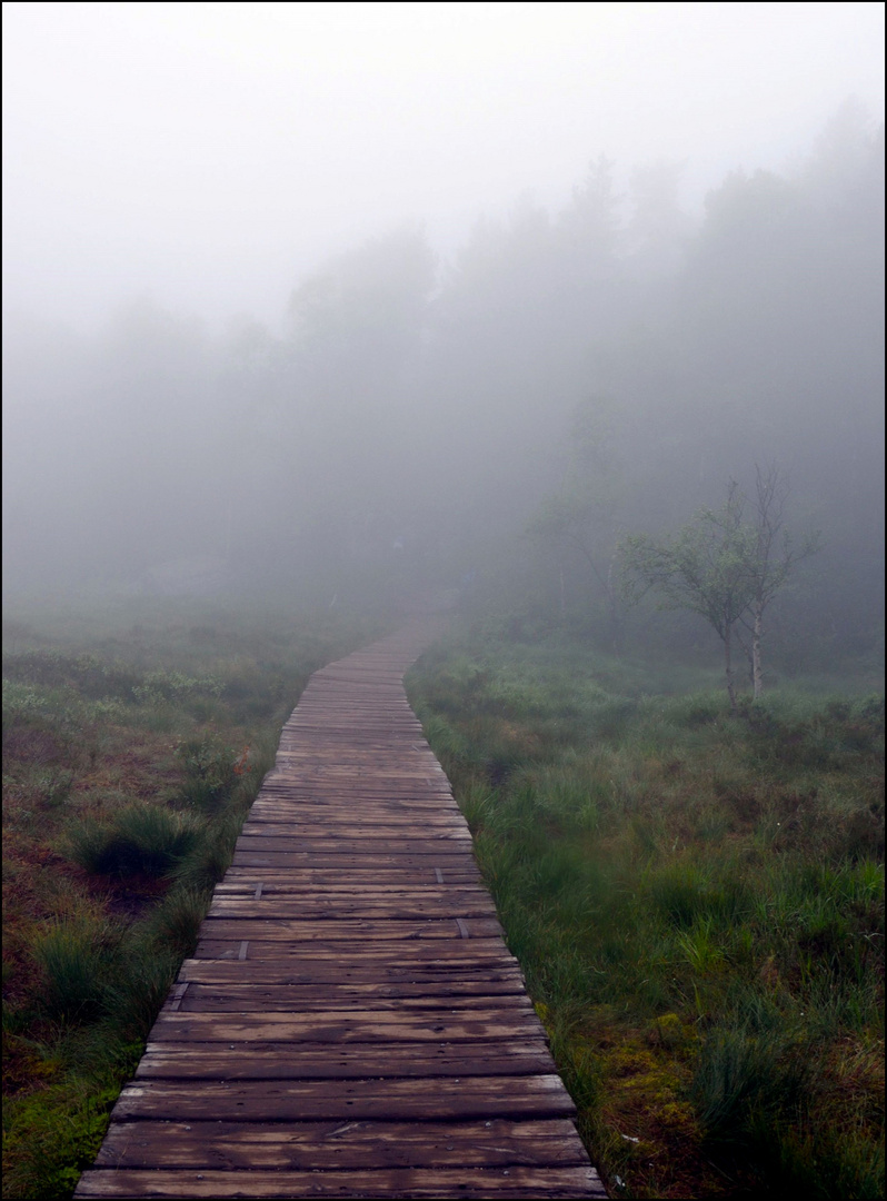 Wohin führt mein Weg? Foto & Bild | nebelstimmungen, wetter, norwegen ...