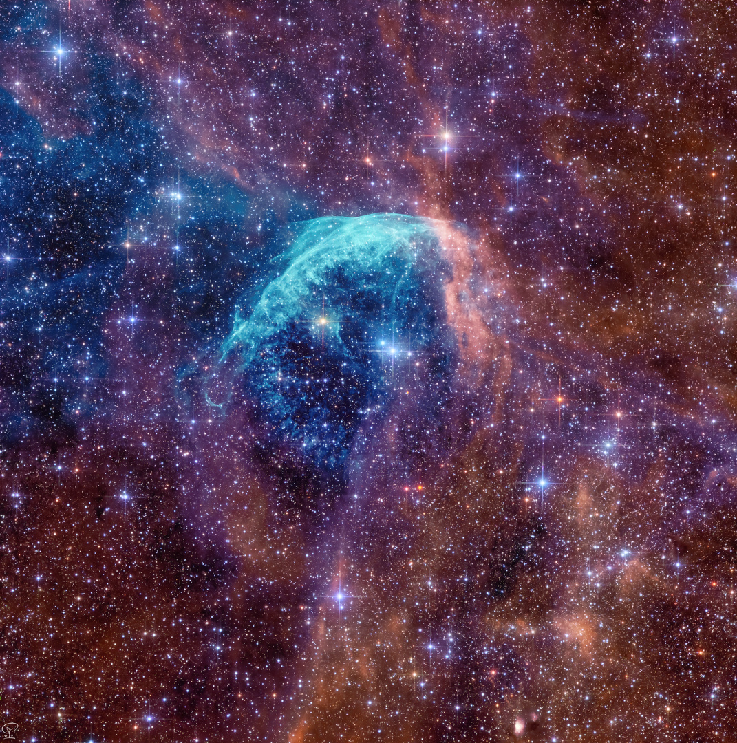 Wolf-Rayet 134 Foto & Bild | astrofotografie, himmel & universum, deep ...