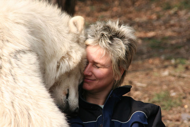 Wolf und Mensch - Vertrauen #5 Foto & Bild | tiere, tier und mensch ...