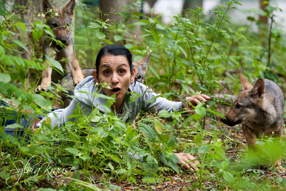 Wolfskinder-10 Foto & Bild | tiere, zoo, wildpark & falknerei ...