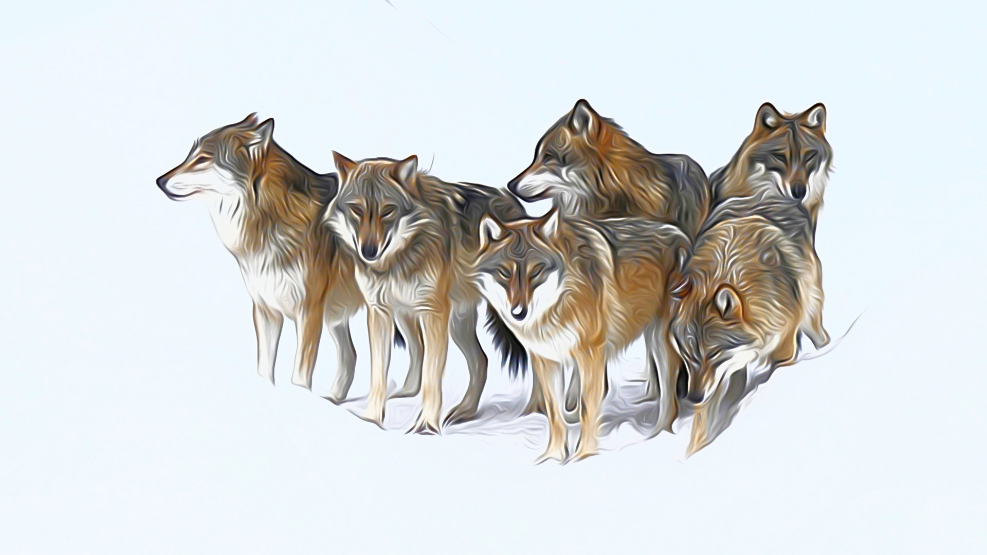 Wolfsrudel Foto & Bild | tiere, bearbeitungs - techniken, digitale ...