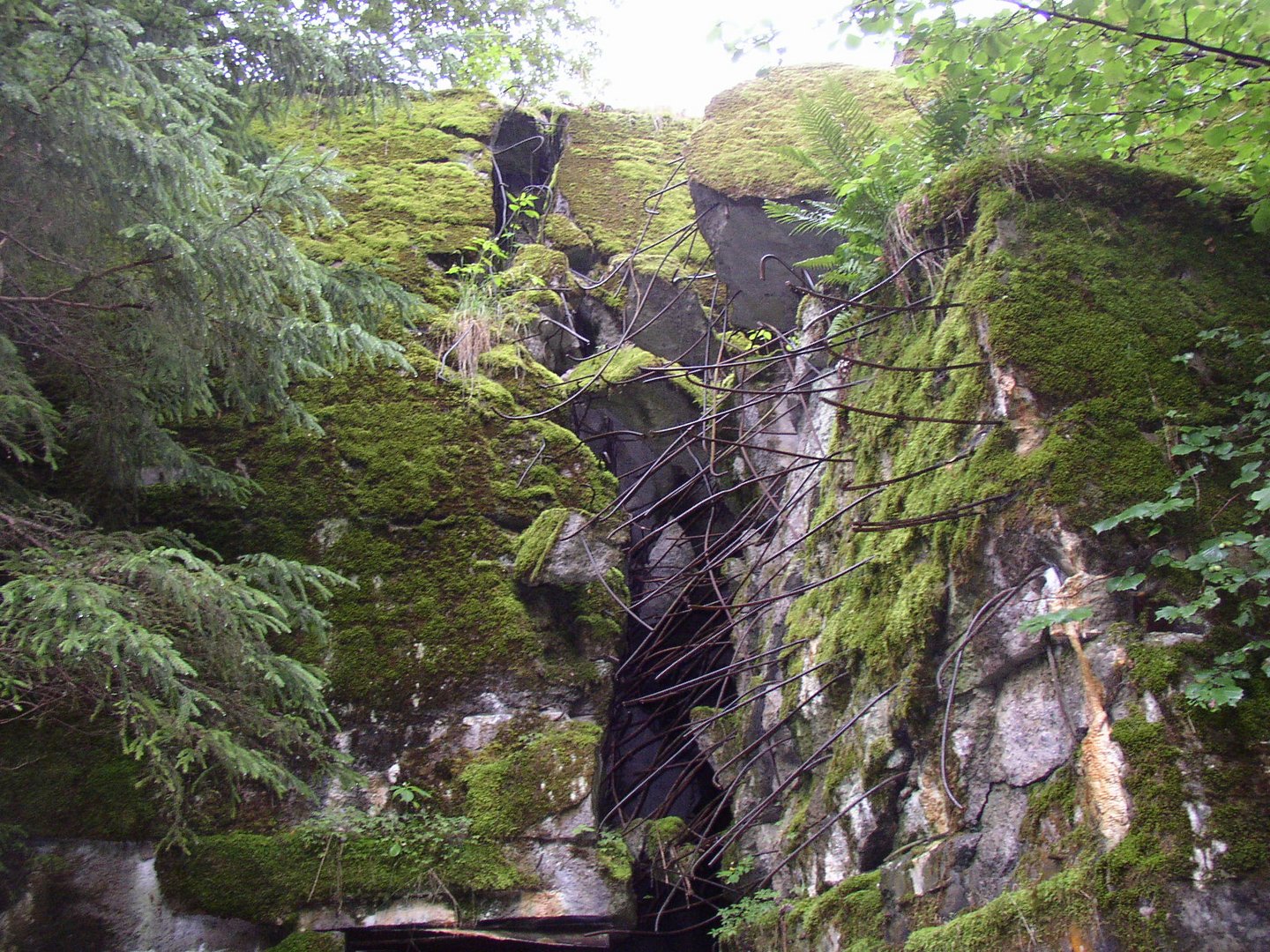 Wolfsschanze Foto & Bild | reportage dokumentation, krieg und seine ...