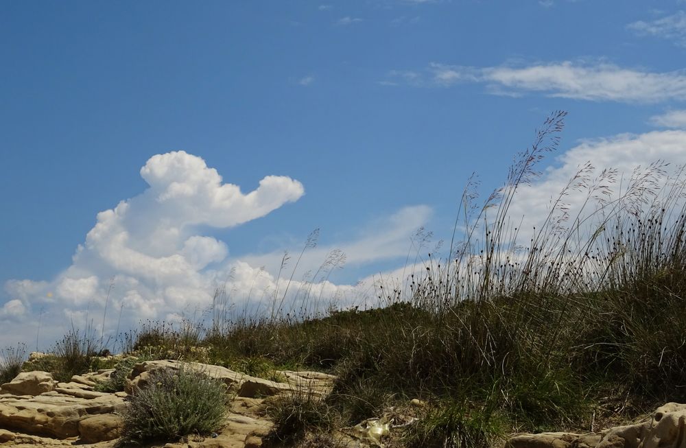 Wolken-Bilder Foto & Bild | wolken, himmel, natur Bilder auf fotocommunity