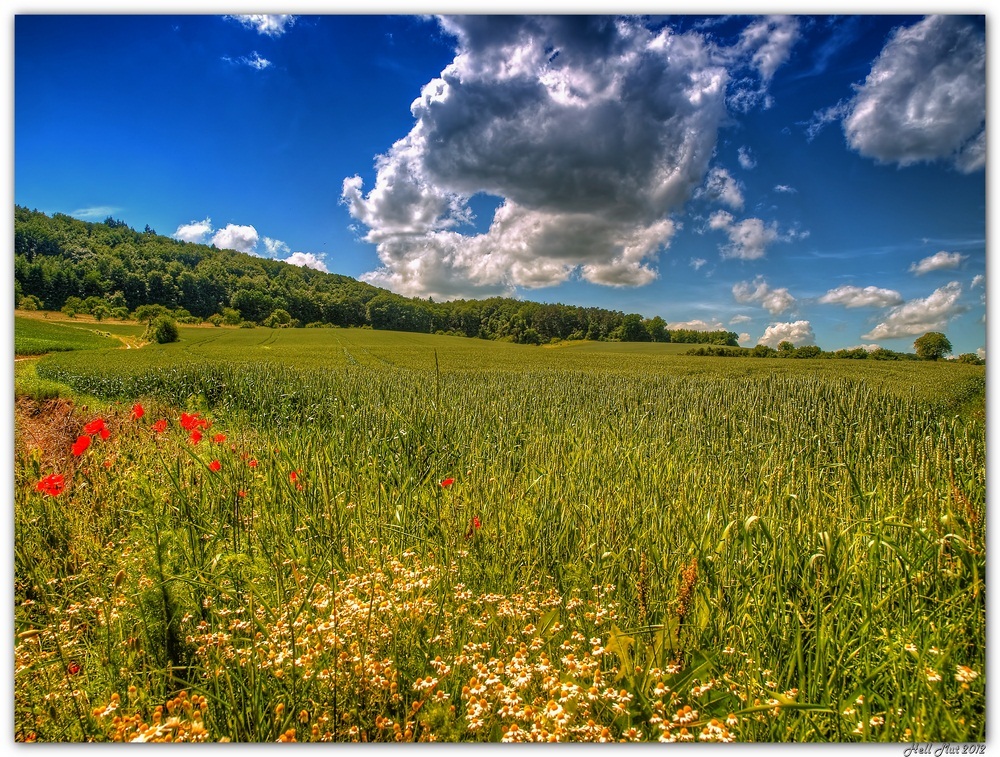 Wolken-Felder-Wälder-Wiesen Foto & Bild | landschaft, Äcker, felder ...