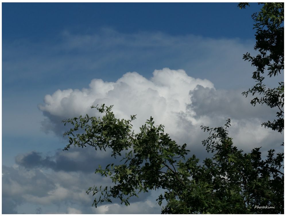 Wolken im Juli Himmel (I) Foto & Bild | wolken, himmel, natur Bilder auf fotocommunity