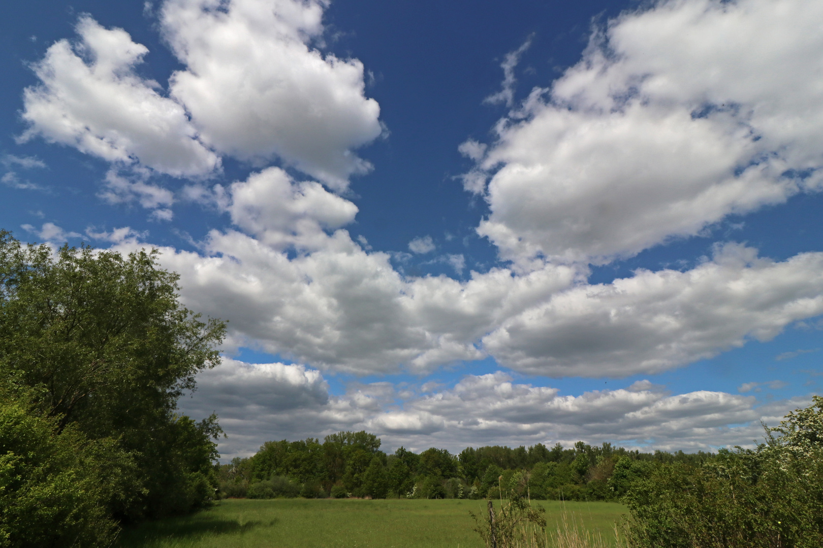 Wolken über Weddel Foto & Bild | landschaften, bäume, wolken Bilder auf ...