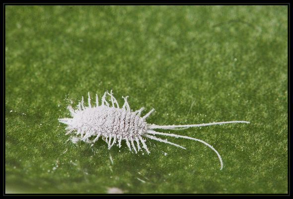 Michael Thanner - Fotos & Bilder - Fotograf aus Wien, Österreich ...