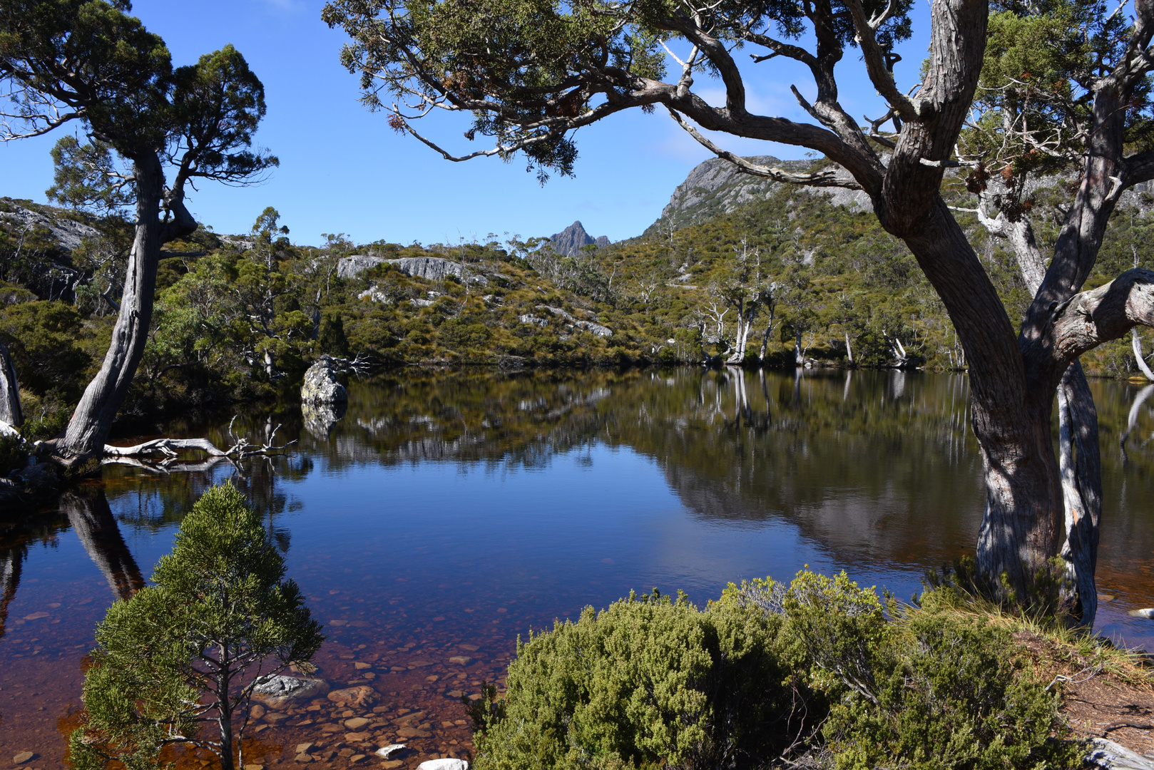 Wombat Pool, Cradle Mountain NP, Tasmanien Foto & Bild | natur, see ...