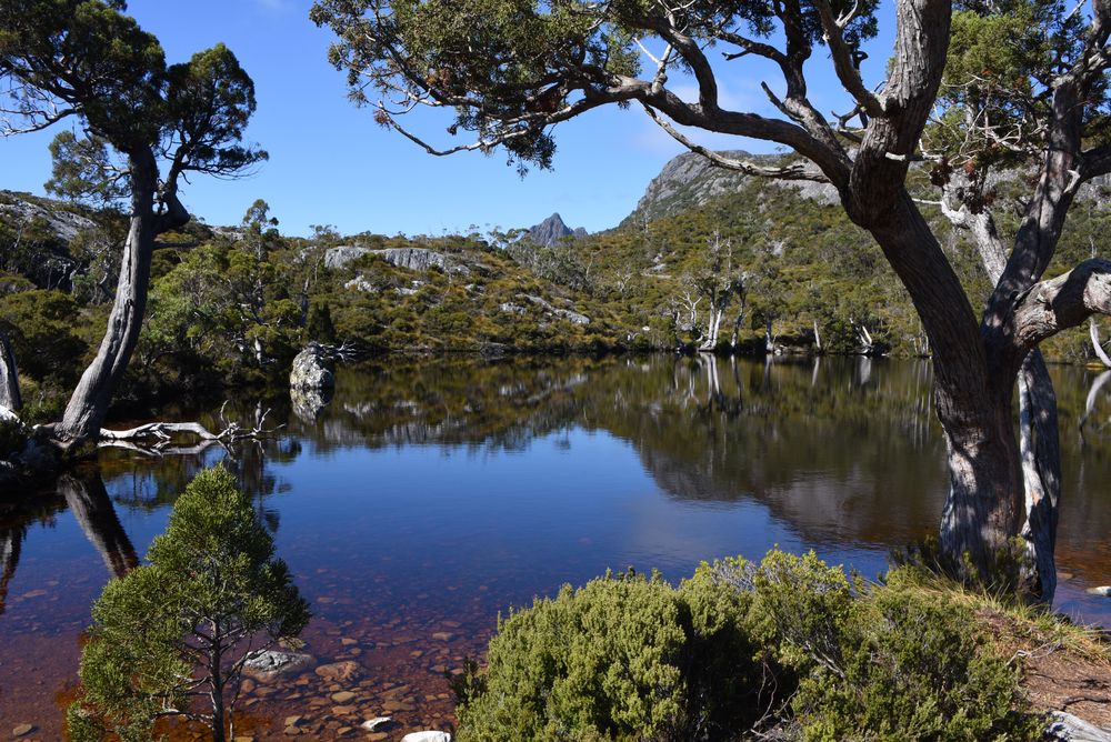 Wombat Pool, Cradle Mountain NP, Tasmanien Foto & Bild | natur, see ...