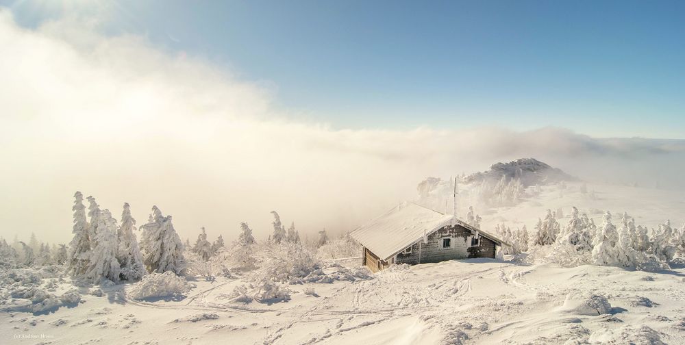 Wonder-World Foto & Bild | landschaft, jahreszeiten, winter Bilder auf fotocommunity