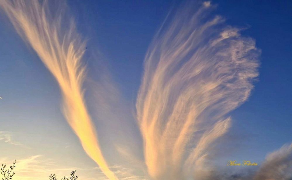 WOOOW - Ein Engel flog über den Trasimeno - See (Umbria) Foto & Bild ...