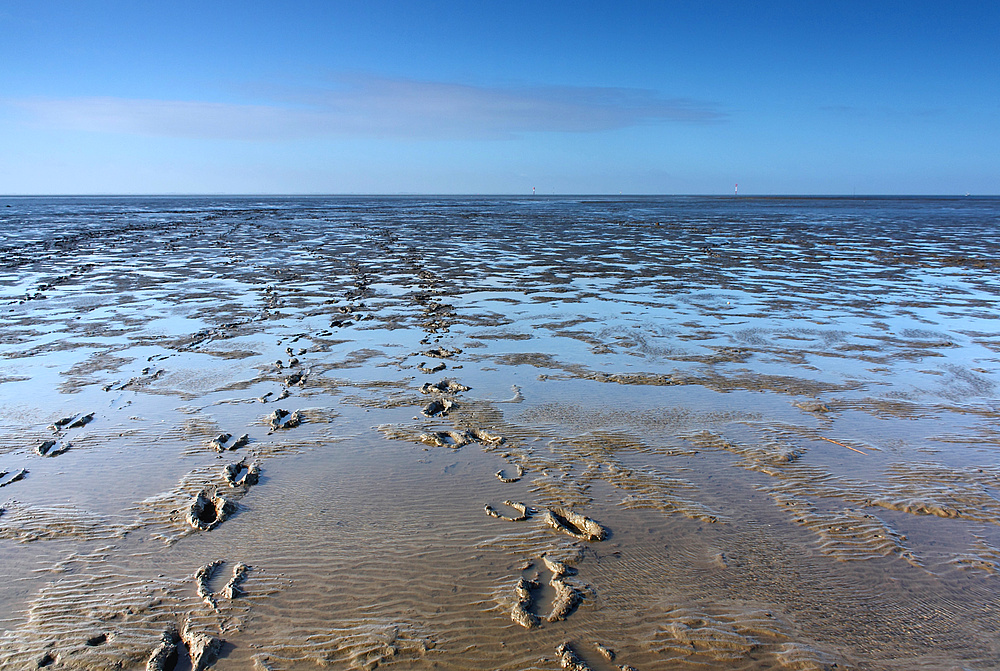 Wremer Wattenmeer! Foto & Bild | landschaft, meer & strand, watt Bilder auf fotocommunity