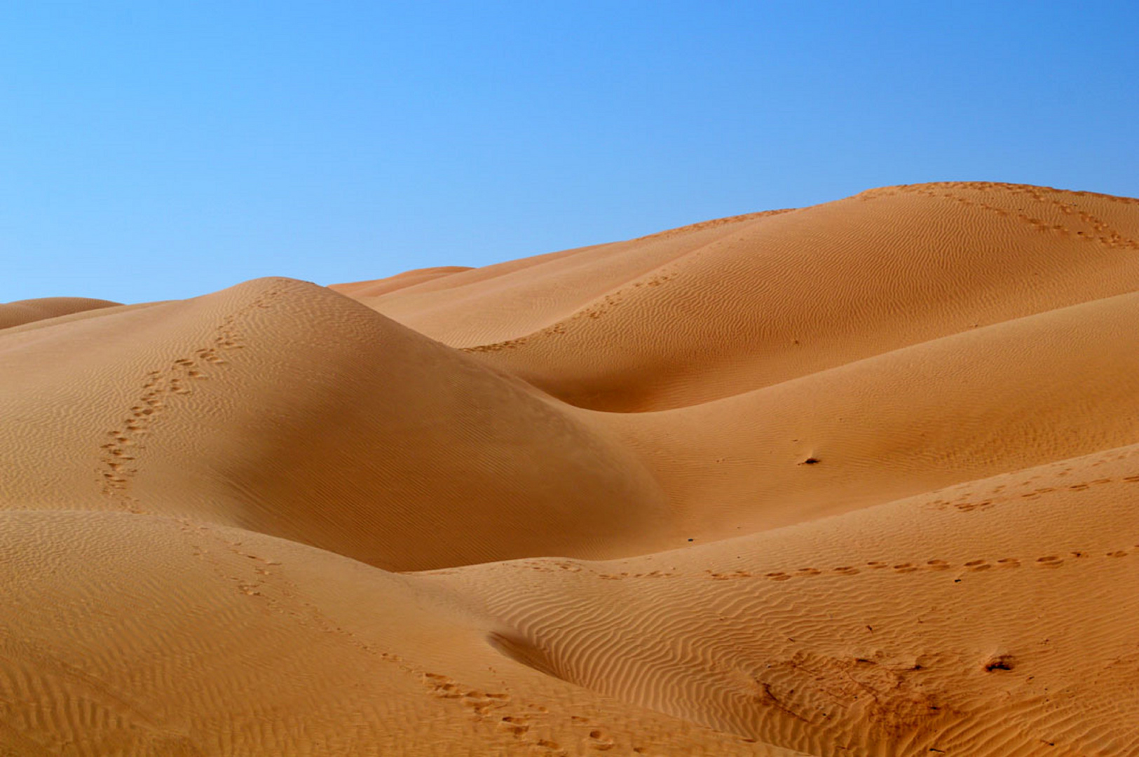 Wüste Foto & Bild | landschaft, wüste, natur Bilder auf fotocommunity