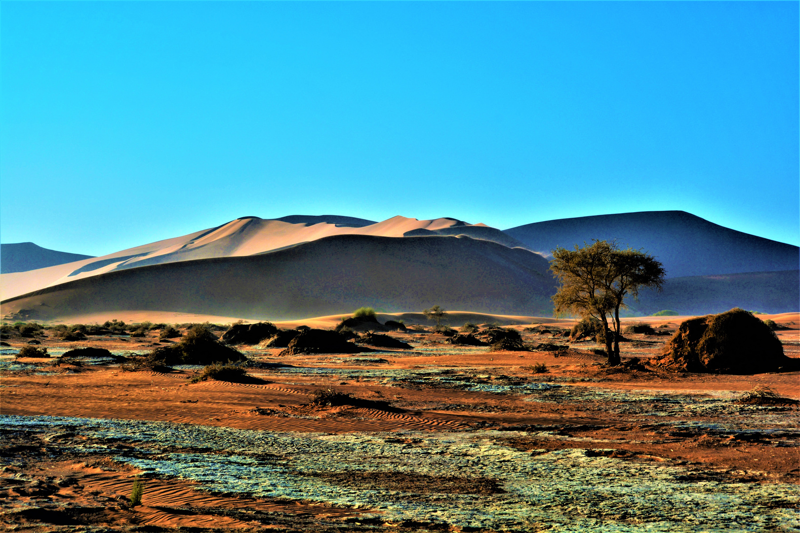 Wüste Foto & Bild | world, natur, landschaft Bilder auf fotocommunity