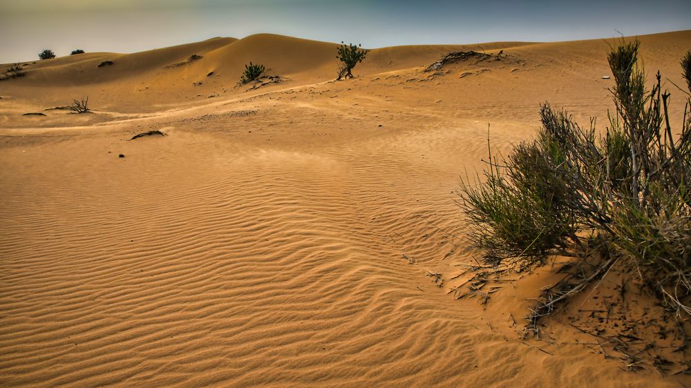 Wüste... Foto & Bild | landschaft, wüste, fotos Bilder auf fotocommunity