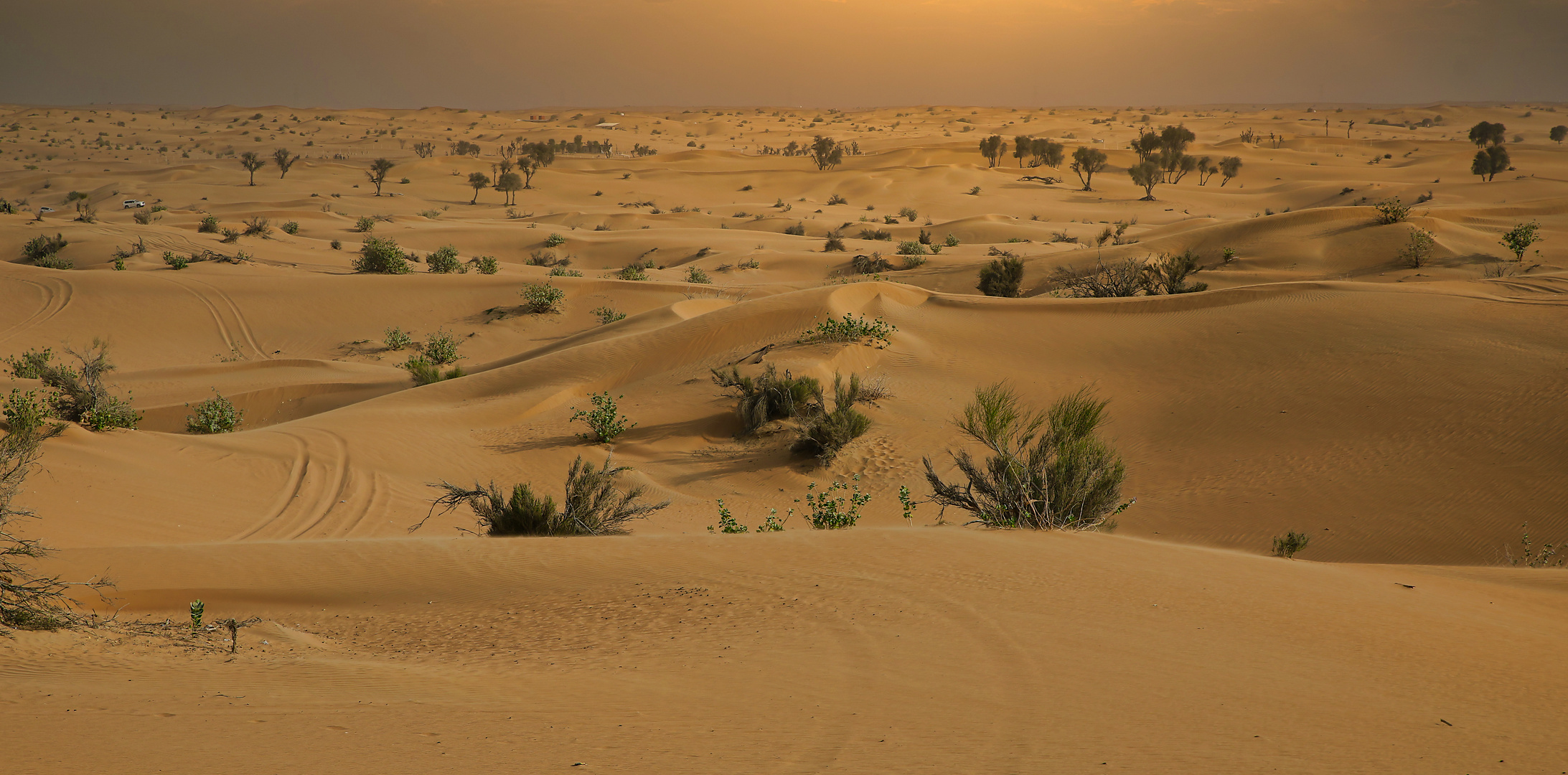 Wüste Foto & Bild | landschaft, wüste, outdoor Bilder auf fotocommunity