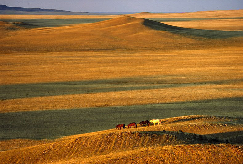 Wüste Gobi Foto & Bild | asia, central asia, world Bilder auf fotocommunity