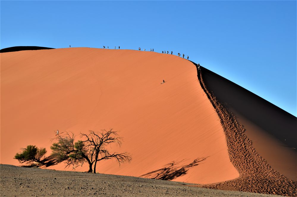 Wüste in Namibia Foto & Bild | africa, southern africa, namibia Bilder ...