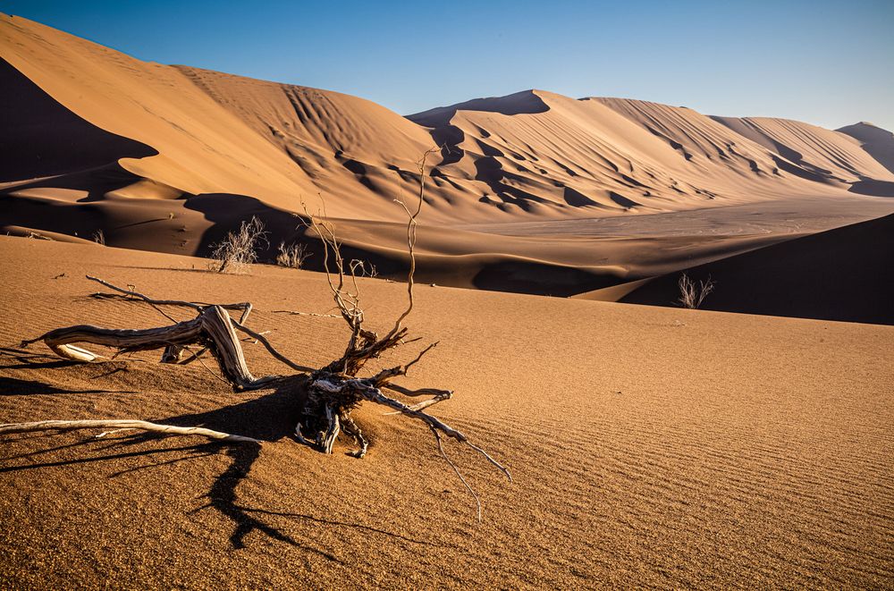 Wüste Lut - Iran Foto & Bild | landschaft, wüste, outdoor Bilder auf ...