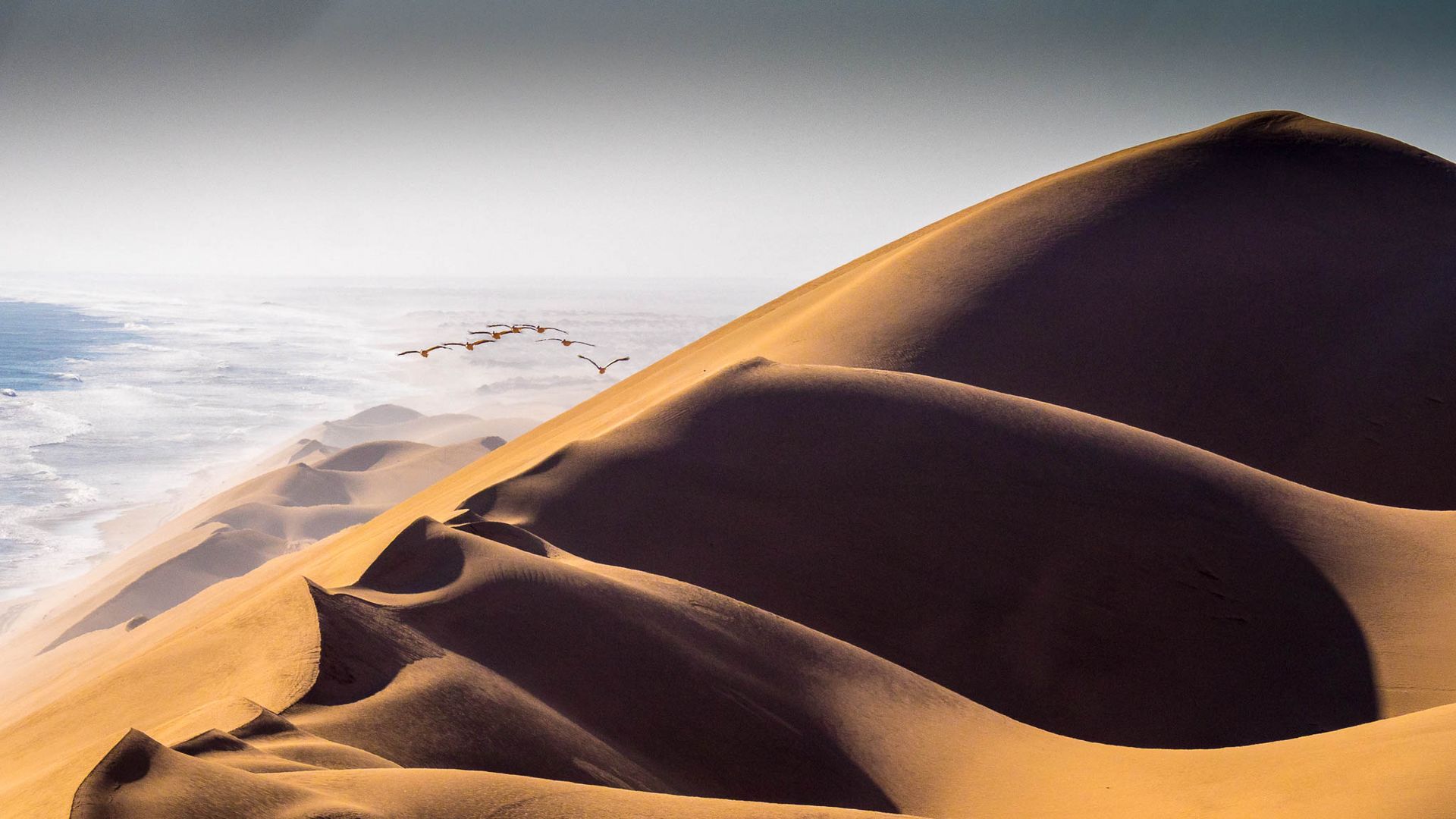 Wüste Namib Foto & Bild | world, natur, landschaft Bilder auf fotocommunity